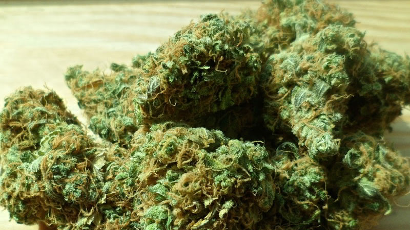 California's Proposition 64: Marijuana Legalization - Reason Foundation