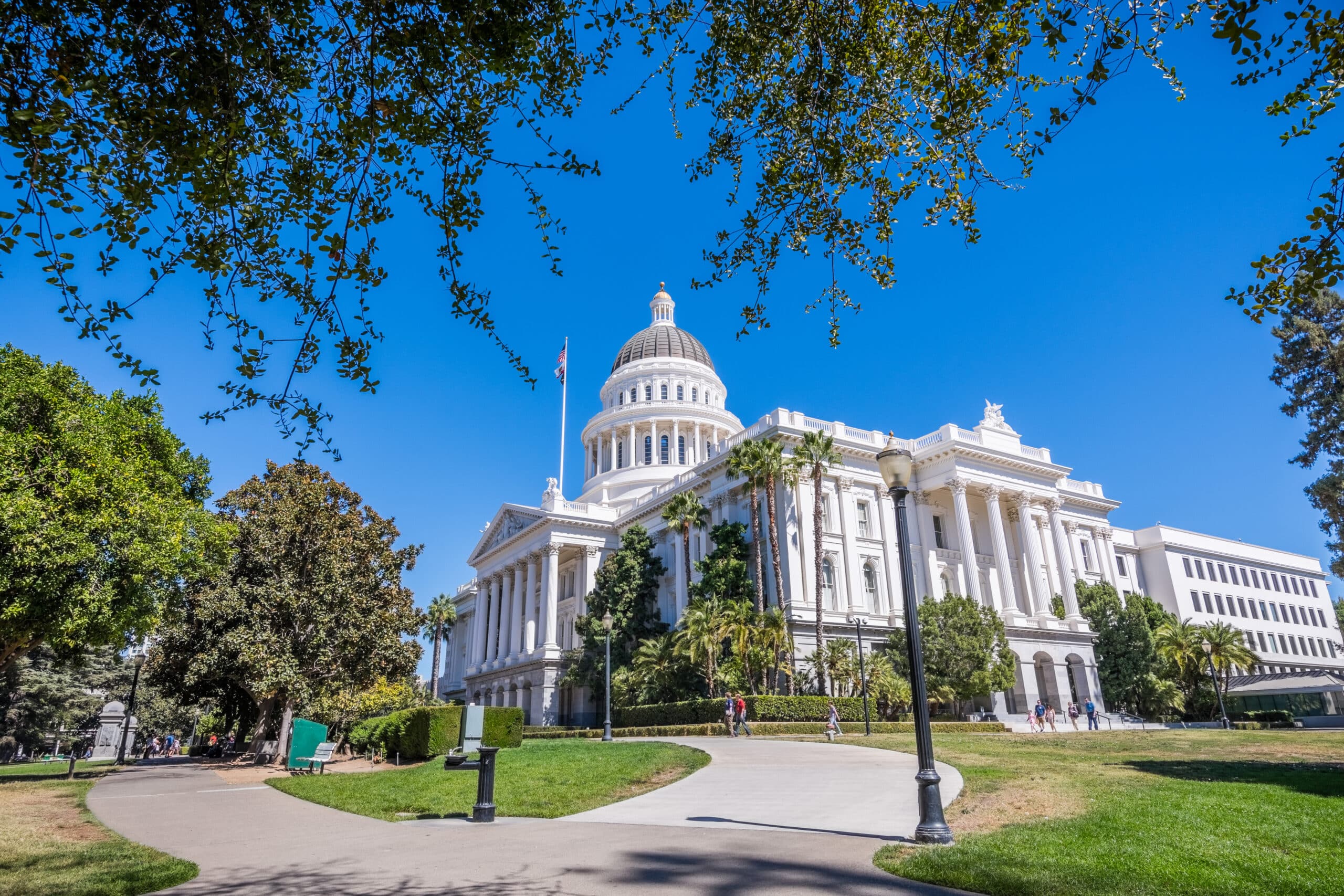 California’s open enrollment laws have room for improvement