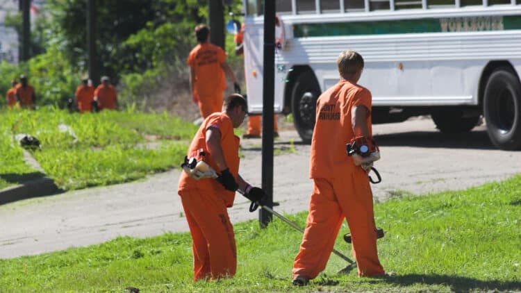 2024 Voter Guide: California Proposition 6