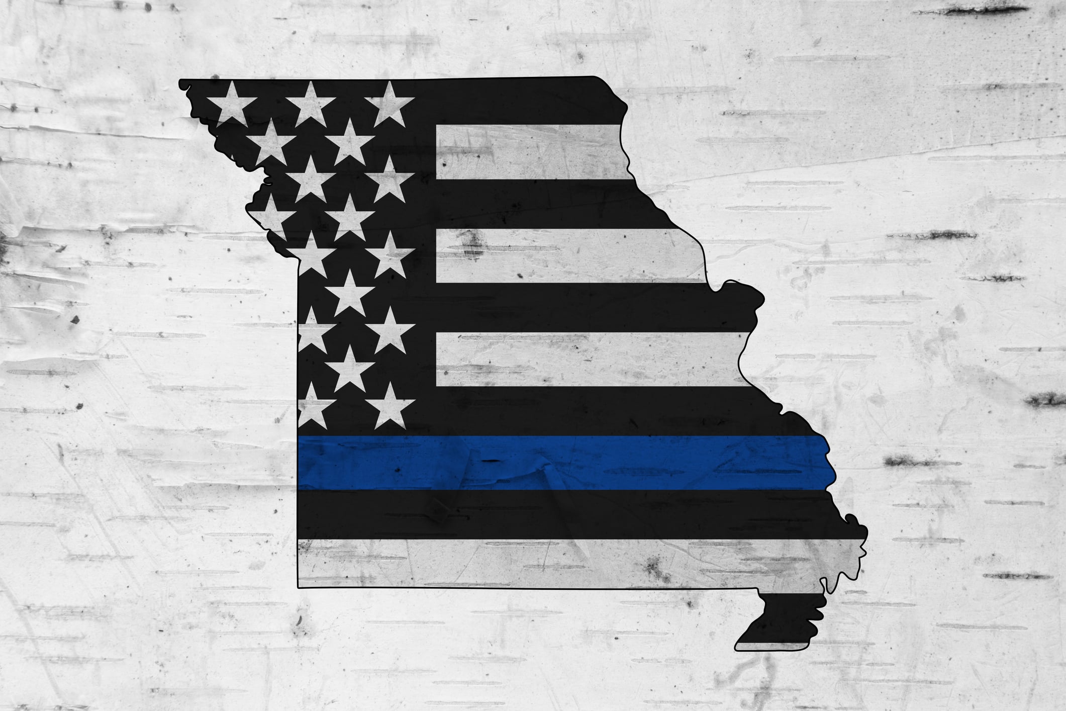 2024 Voter Guide: Missouri Amendment 6