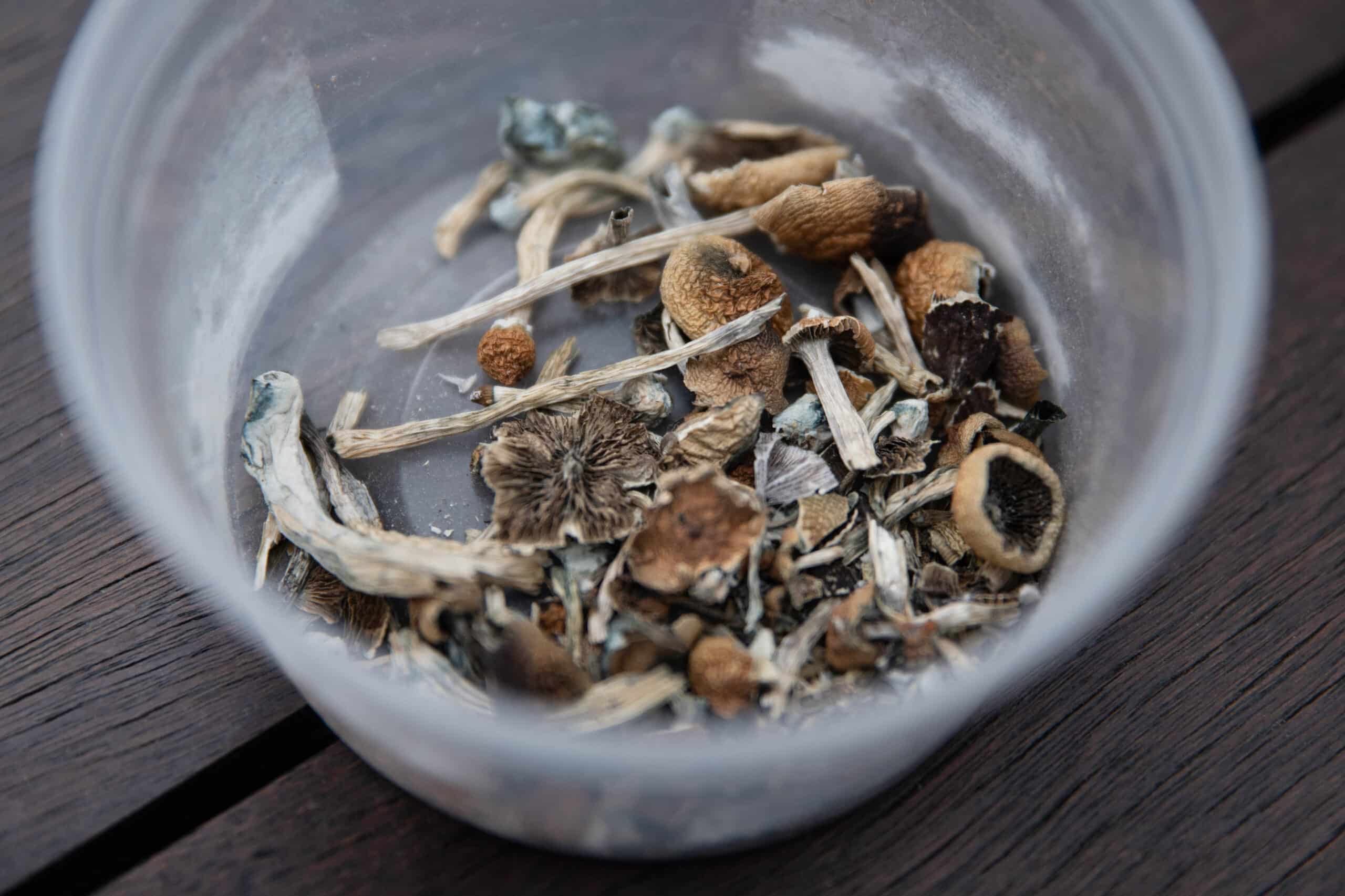 State psychedelics legalization and policy roundup — June 2025