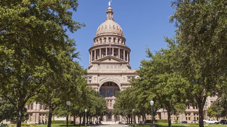 Texas Senate Bill 2308 could advance ibogaine as a treatment for opioid ...